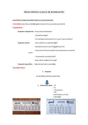 Digestório de equino - Aula completada - SISTEMA DIGESTIVO DO EQUINO ...