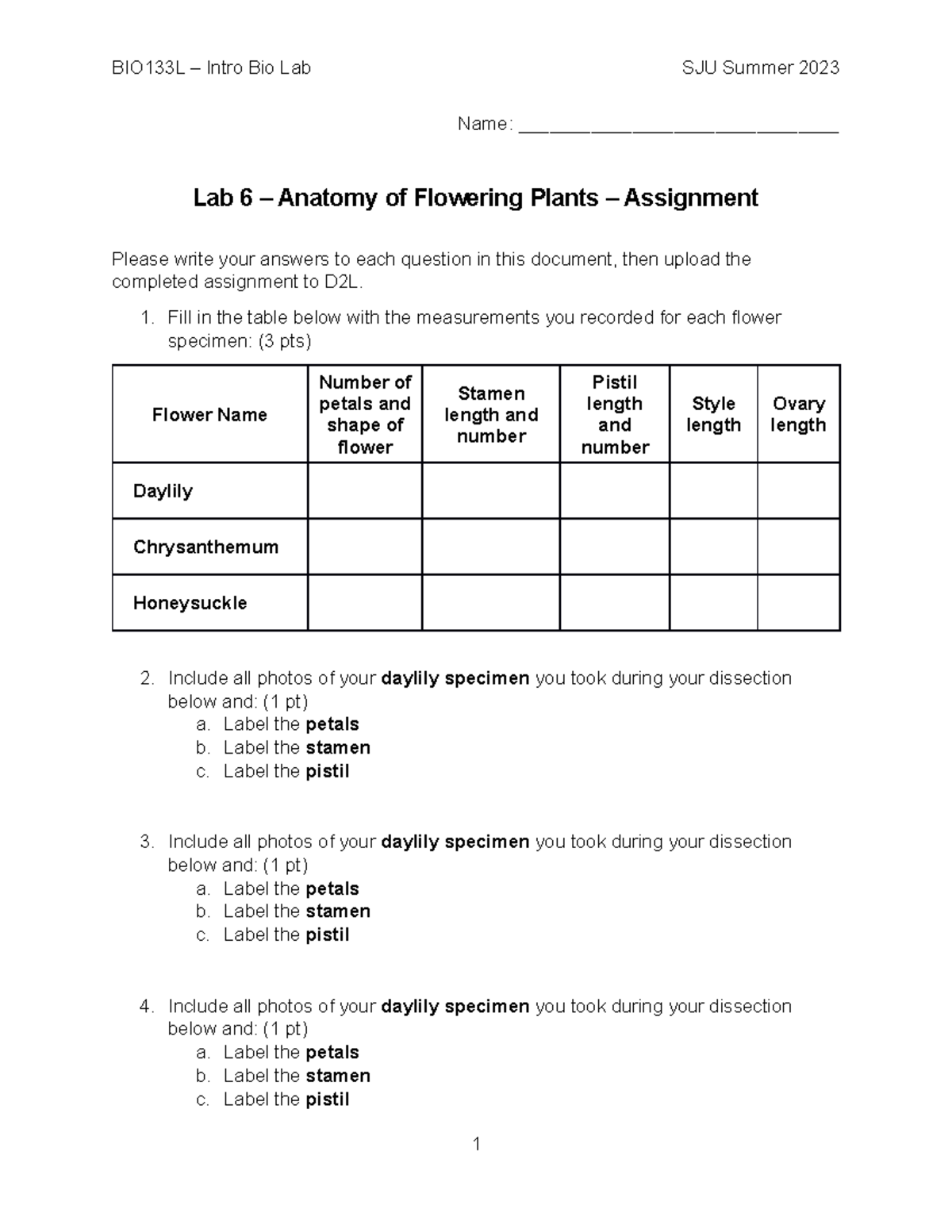 Lab 6 - Anatomy of Flowering Plants assignment - BIO133L – Intro Bio ...