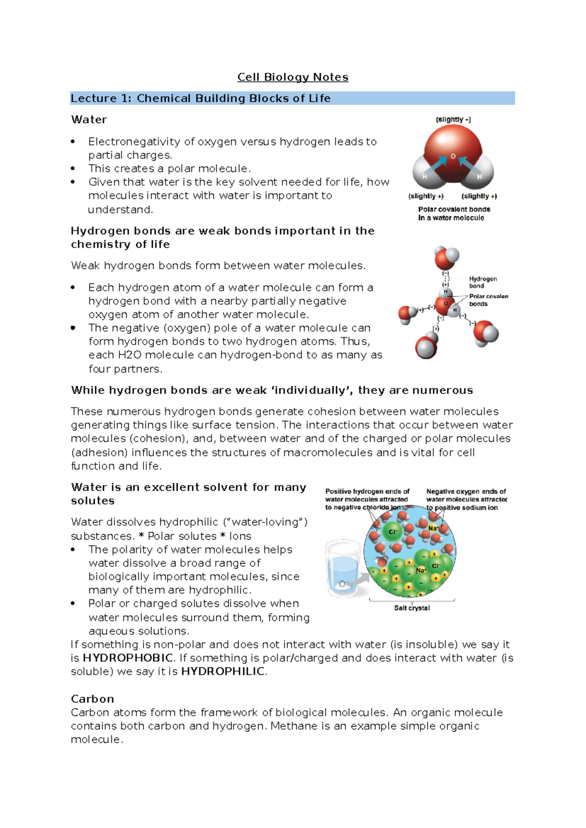 Chemical Building blocks lecture notes - Cell Biology Notes Lecture 1 ...