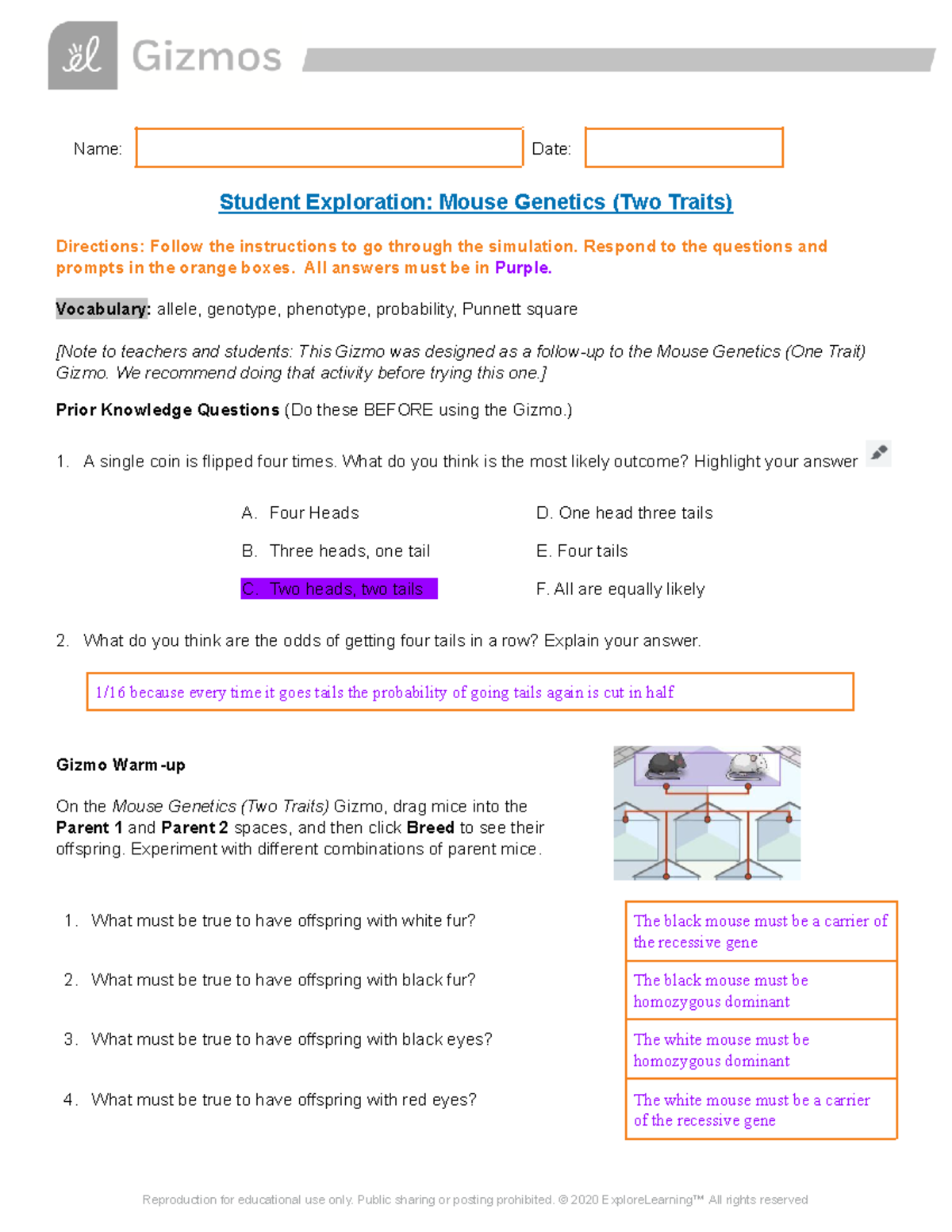 Mouse Genetics Gizmo - Name: Date: Student Exploration: Mouse Genetics ...