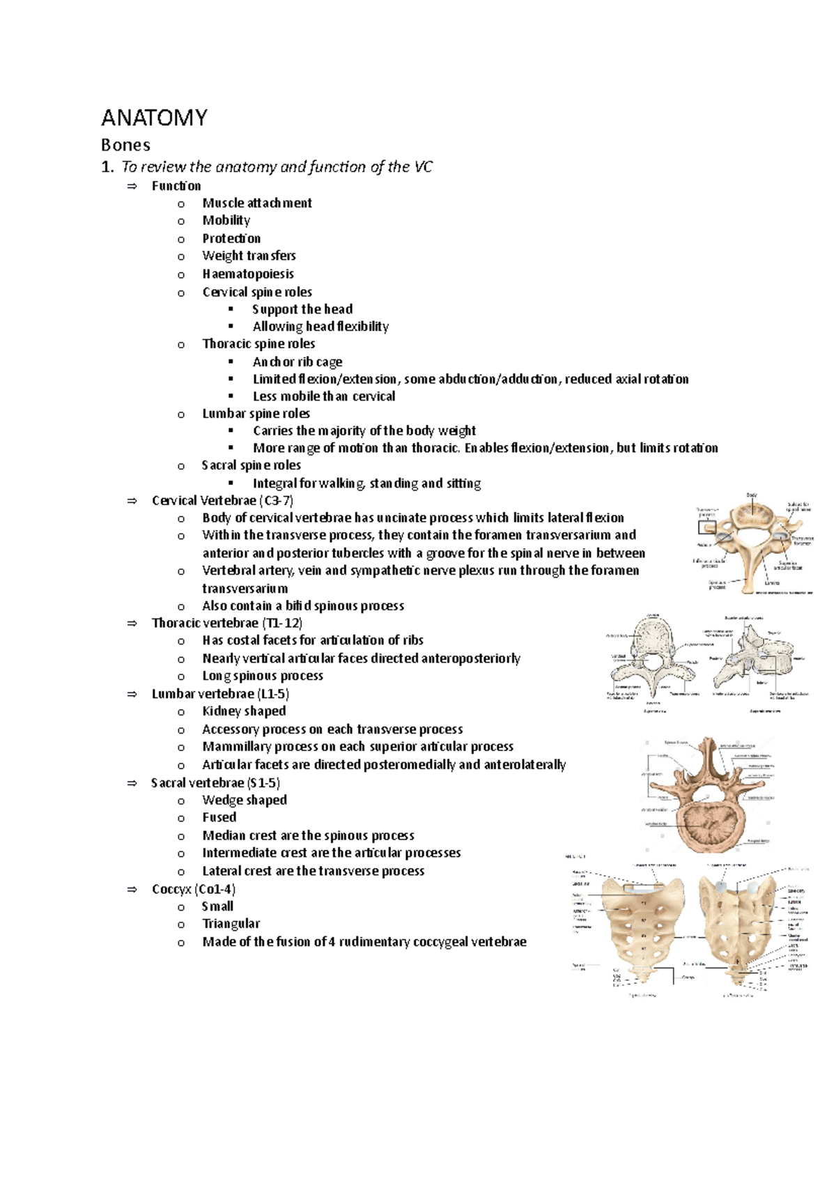 VC Revision Notes - ANATOMY Bones 1 review the anatomy and function of ...