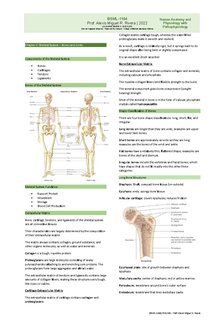 Anaphy - Skeletal Reviewer - Chapter 6 Skeletal System: Bones and Joints Lecture Outline ...
