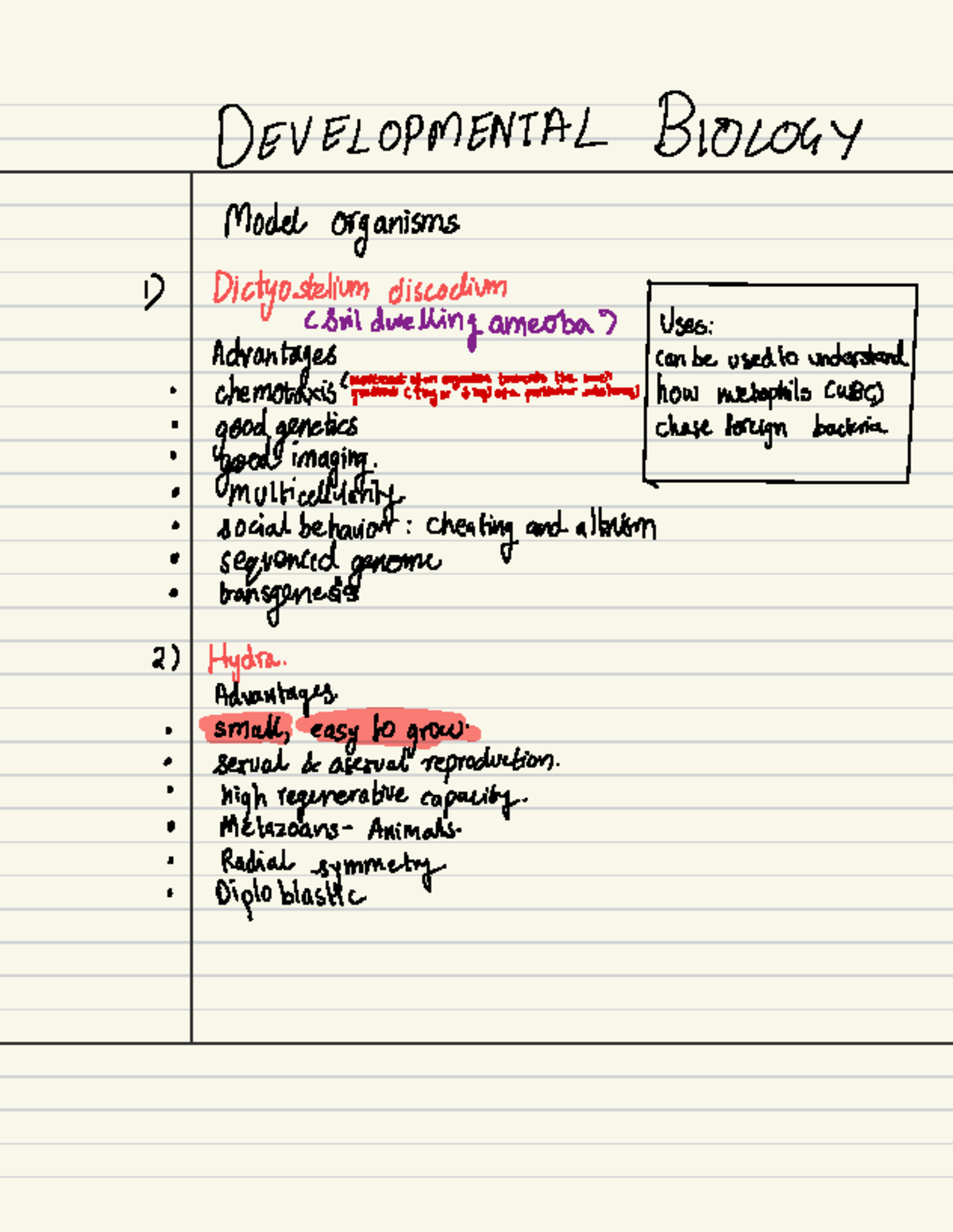 Developmental biology lecture 1 - DEVELOPMENTAL BIOLOGY Model organisms ...
