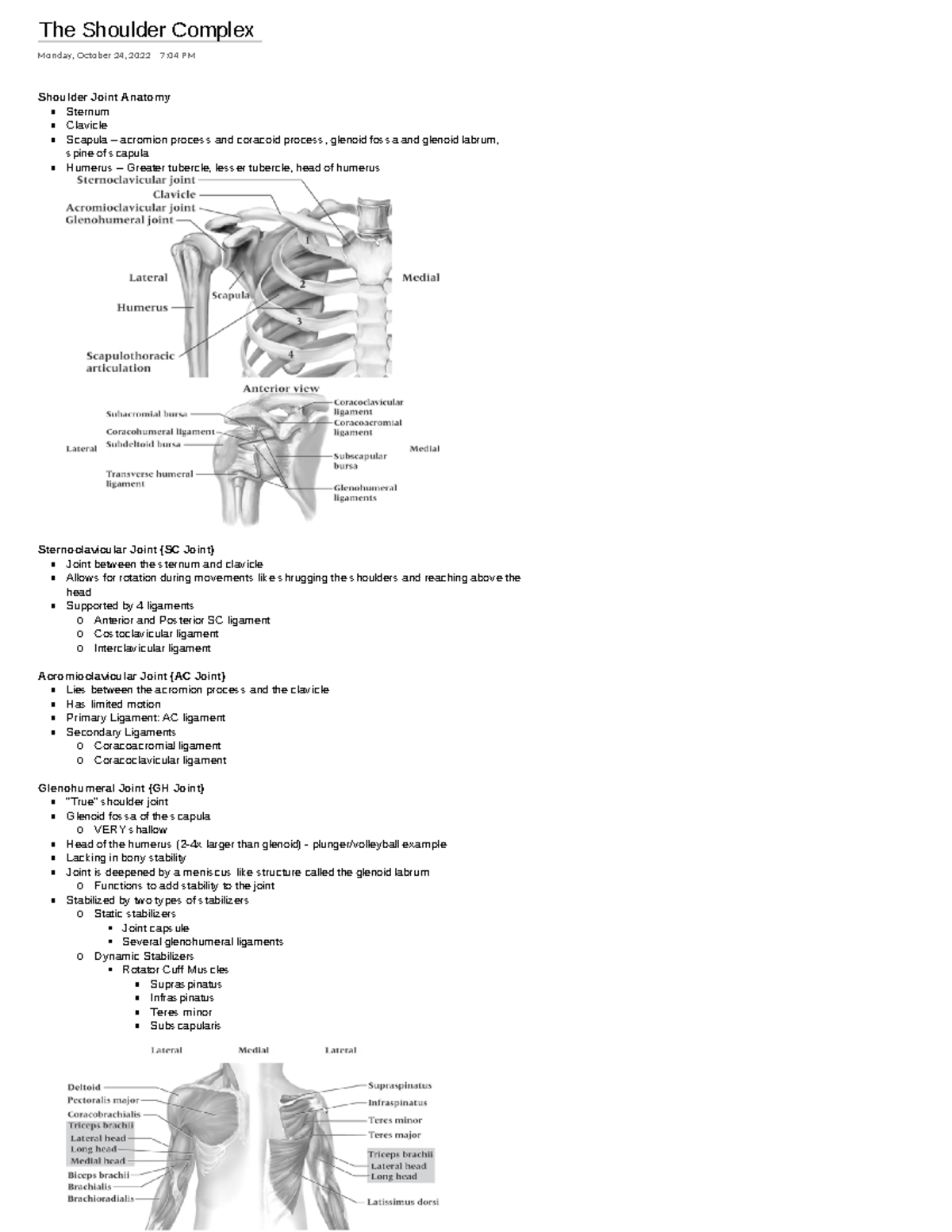 Shoulder Complex - Studocu