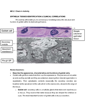 Module 4 Hematology - Fill in the Blanks - Pathophysiology MODULE 4 ...