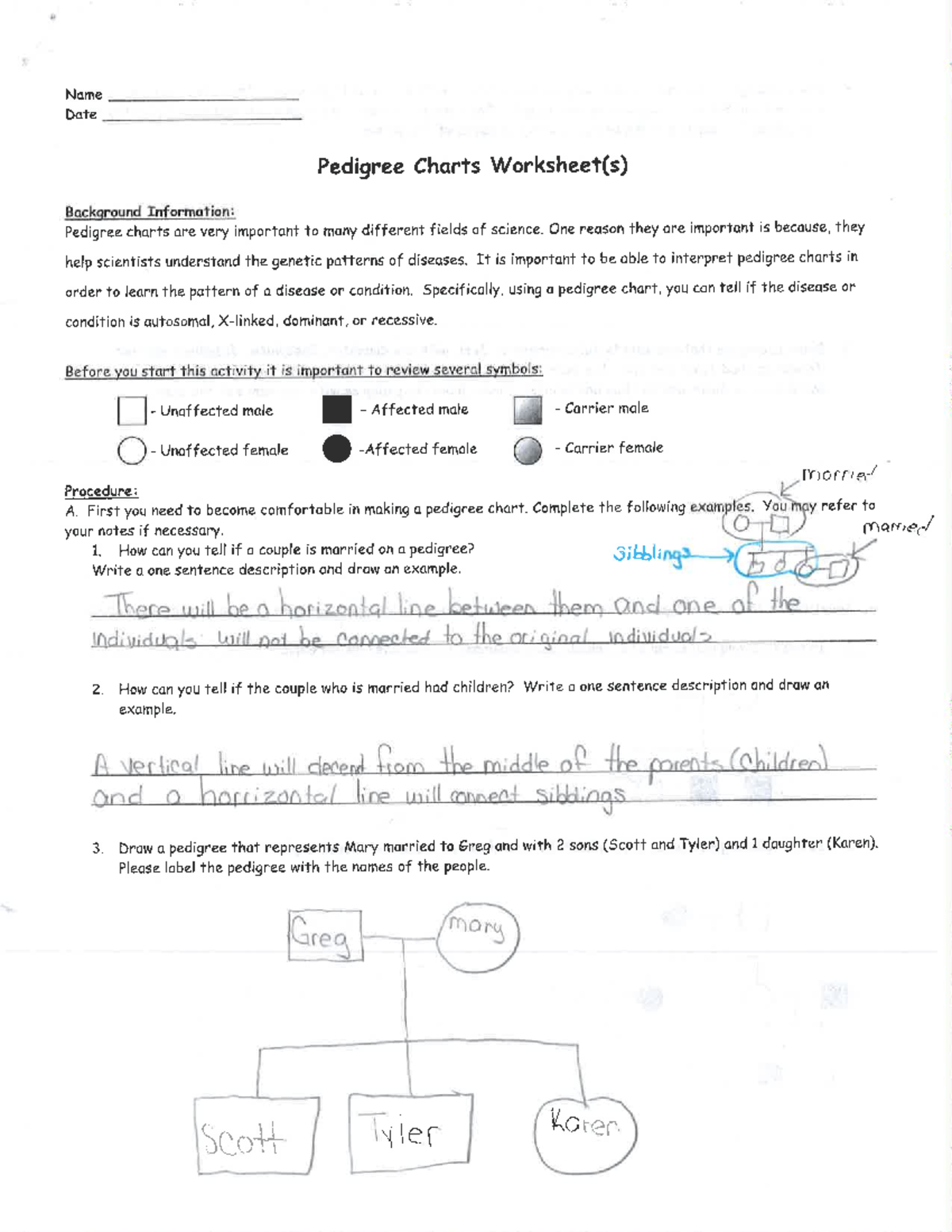 Pedigree Worksheet Answer Key - Studocu