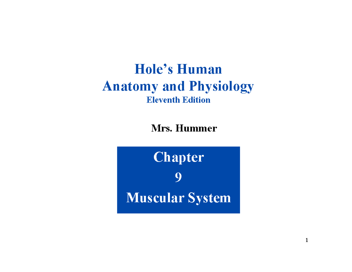 chapter-9-hole-s-human-anatomy-and-physiology-eleventh-edition-mrs