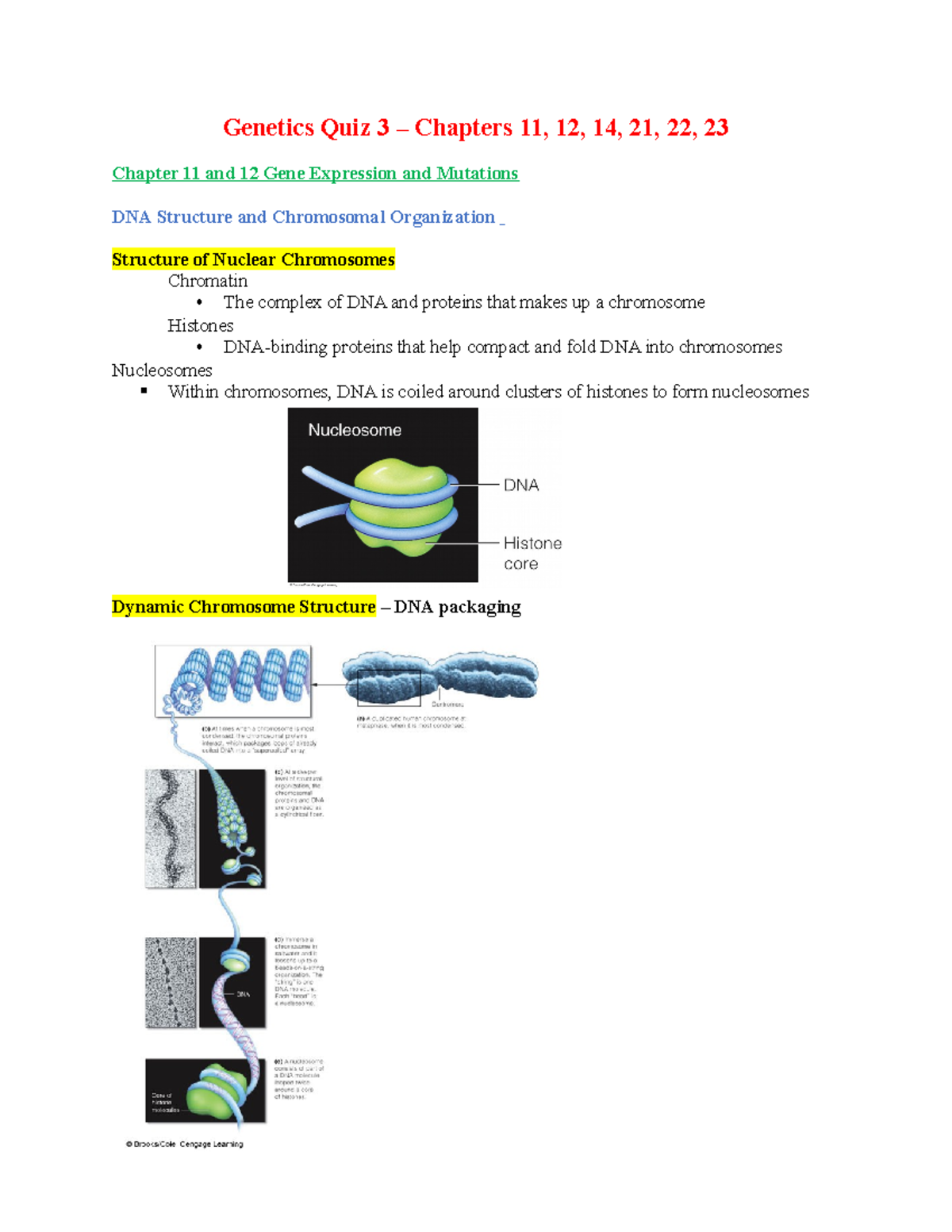 Genetics in society Quiz 3- lecture notes - Genetics Quiz 3 – Chapters ...