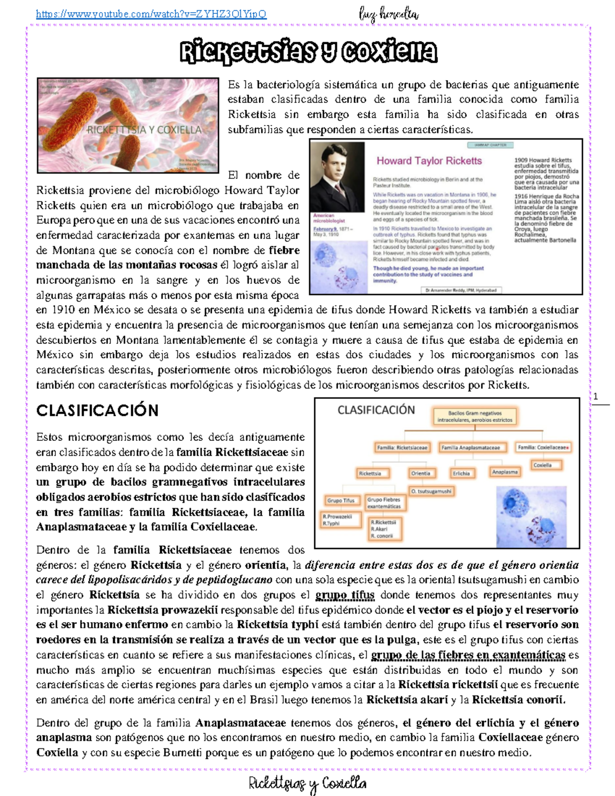 Rickettsias - El nombre de Rickettsia proviene del microbiólogo Howard ...