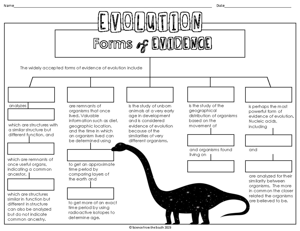Evidenceof Evolution Concept Map Graphic Organizerfor Notesor ...