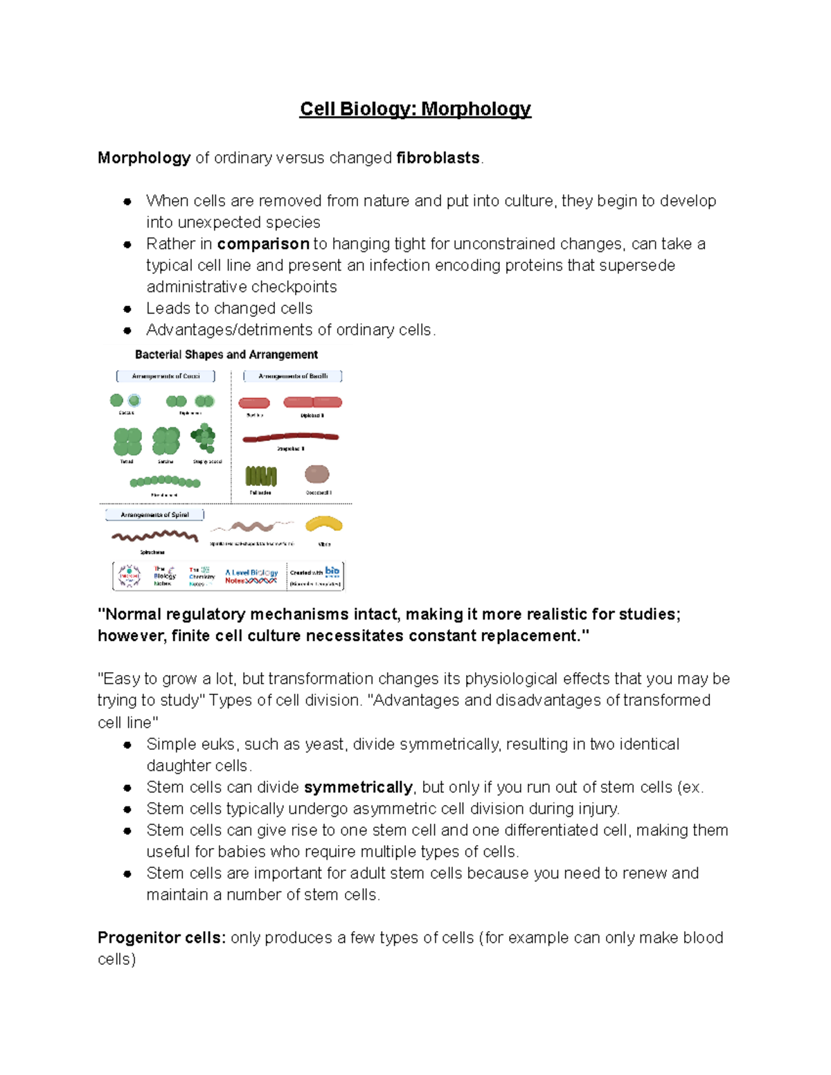 Cell Biology Morphology - Cell Biology: Morphology Morphology of ...