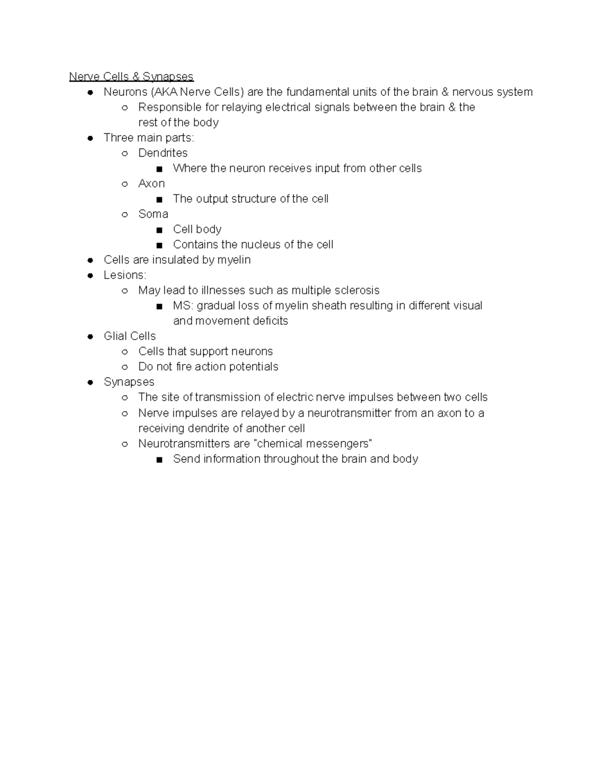 Nerve cells and synapses - Nerve Cells & Synapses Neurons (AKA Nerve ...