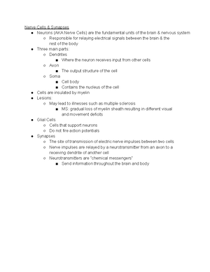 Process of nerve impulses - The process of nerve signals 1. A nerve ...
