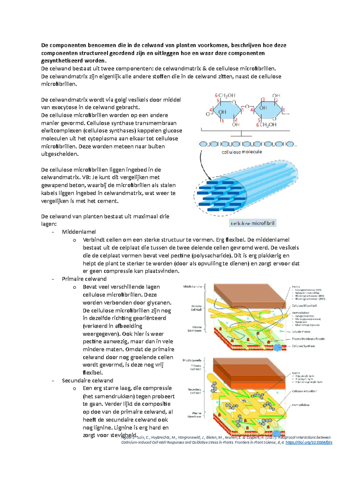Leerdoel 8 - Componenten in de celwand - De componenten benoemen die in ...