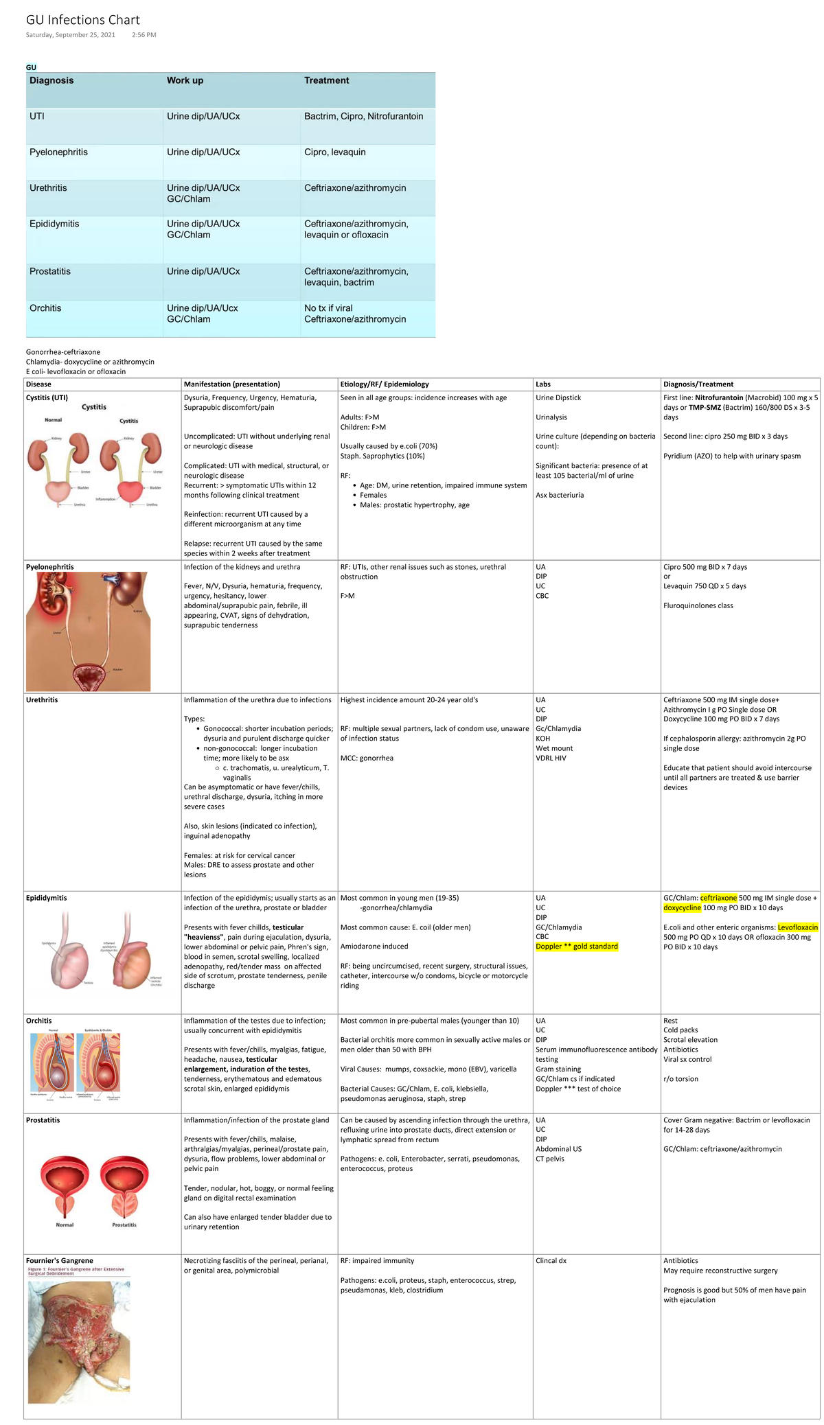 GU Infections Chart - GU conditions - GU Gonorrhea-ceftriaxone ...