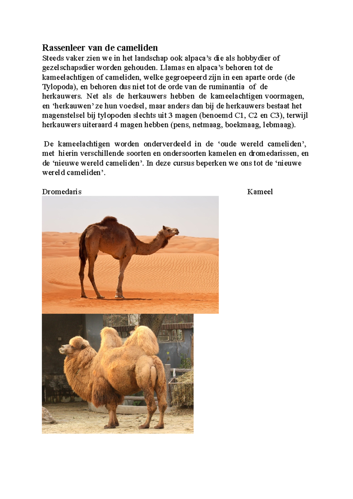 Rassenleer van de cameliden - Rassenleer van de cameliden Steeds vaker ...