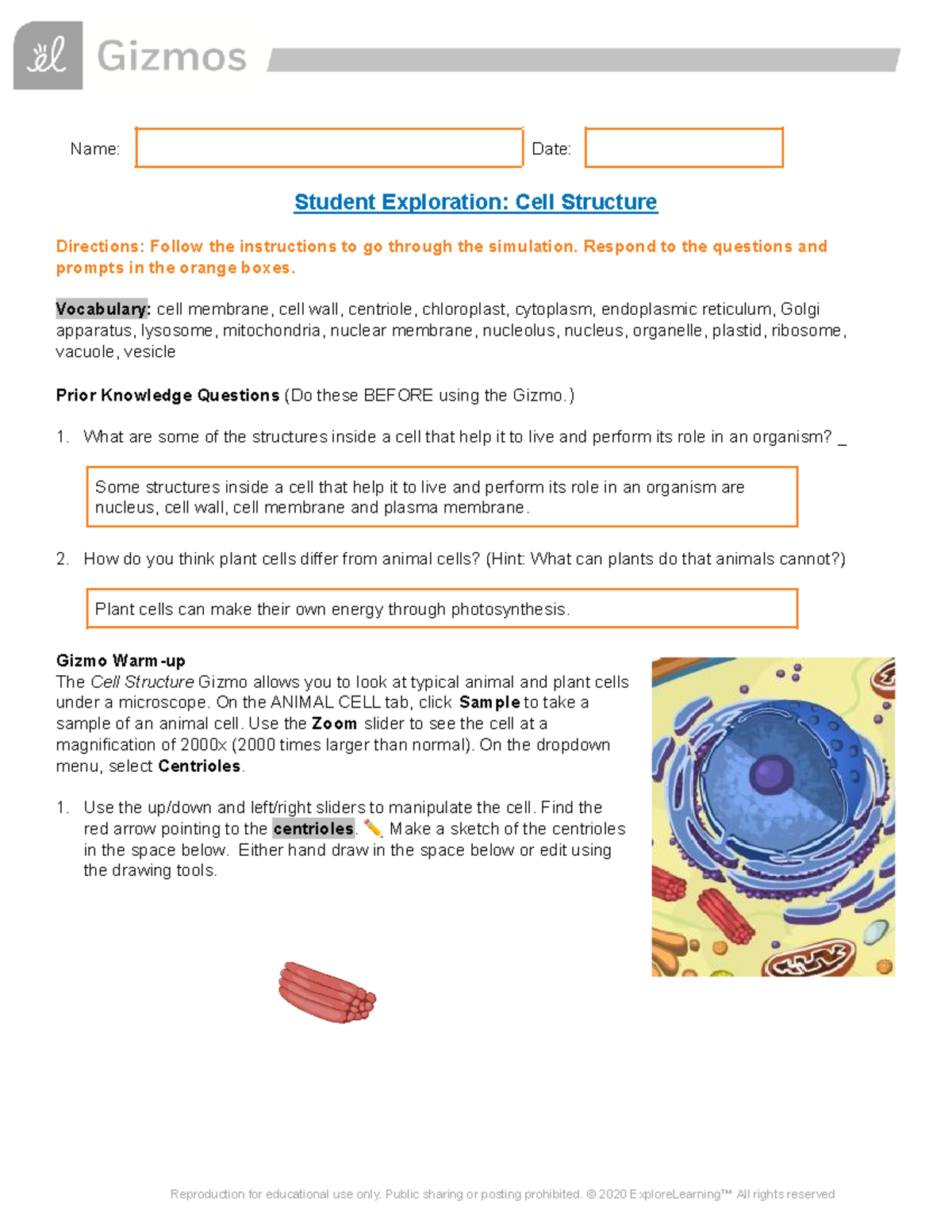 SBI4U Cell Structure SE - BIOL 3080H - TrentU - Studocu