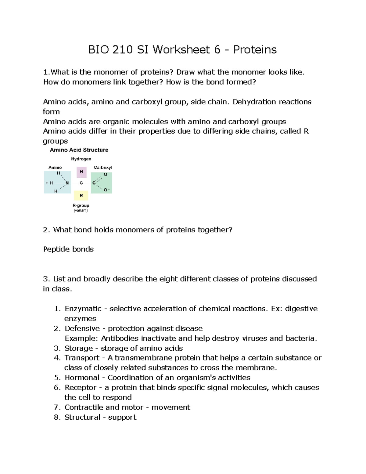 6b. KEY Worksheet 6 - Proteins - BIO 210 SI Worksheet 6 - Proteins 1 is ...