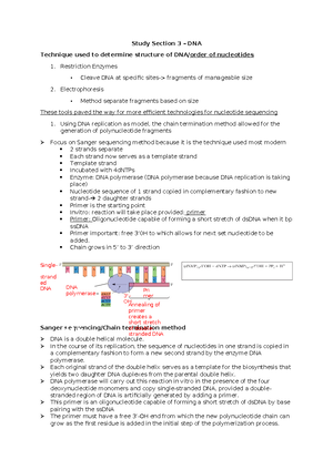 Restriction Enzyme Report - Tutorial: Restriction enzymes BCHN 213 2022 ...