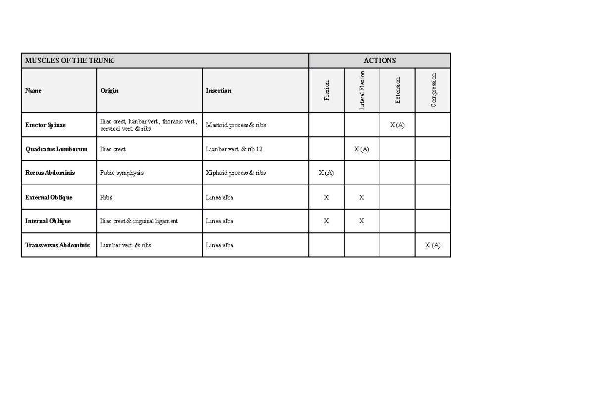 Muscle Actions Revision Table - MUSCLES OF THE TRUNK ACTIONS Name ...