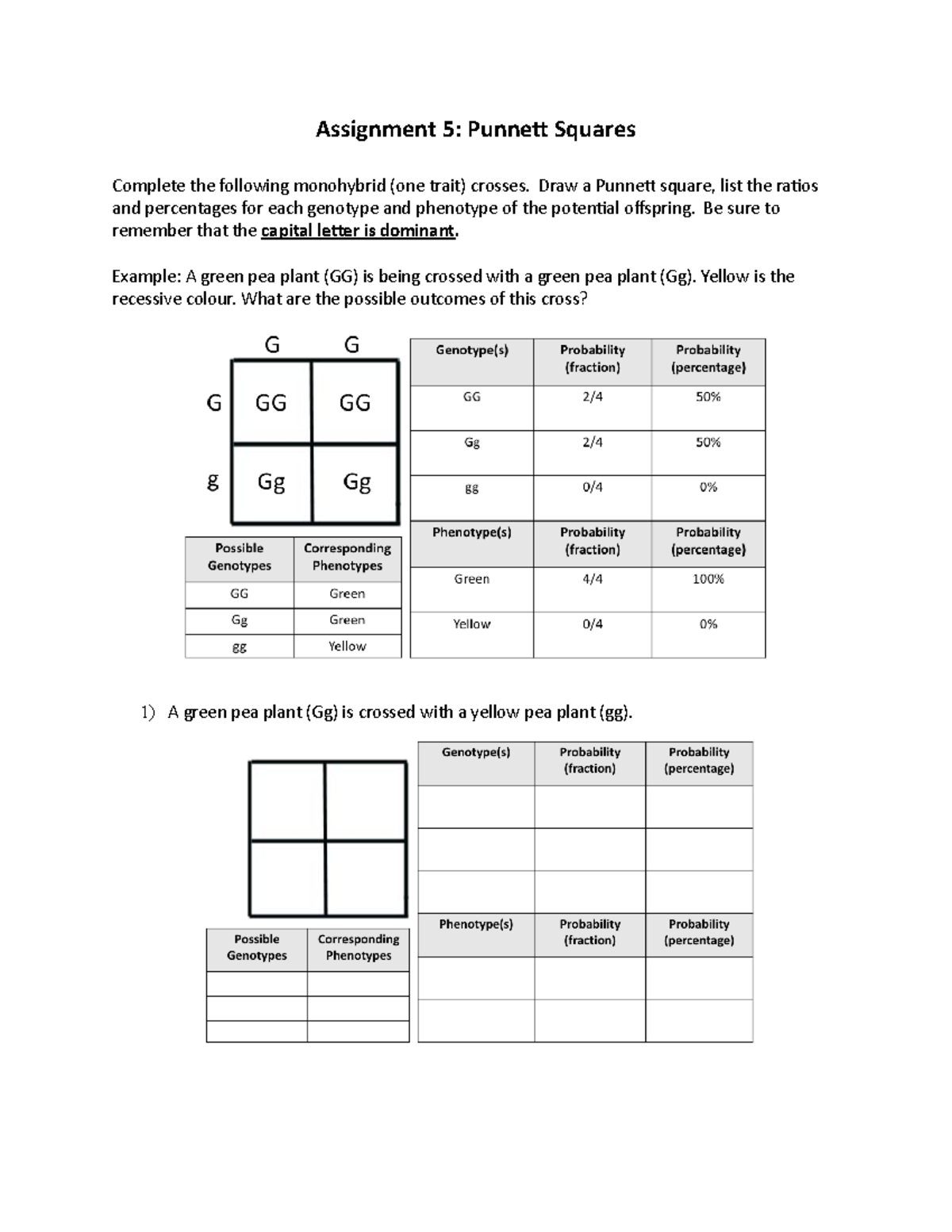 Assignment 5 - Punnett Squares Question and Answers - Assignment 5 ...