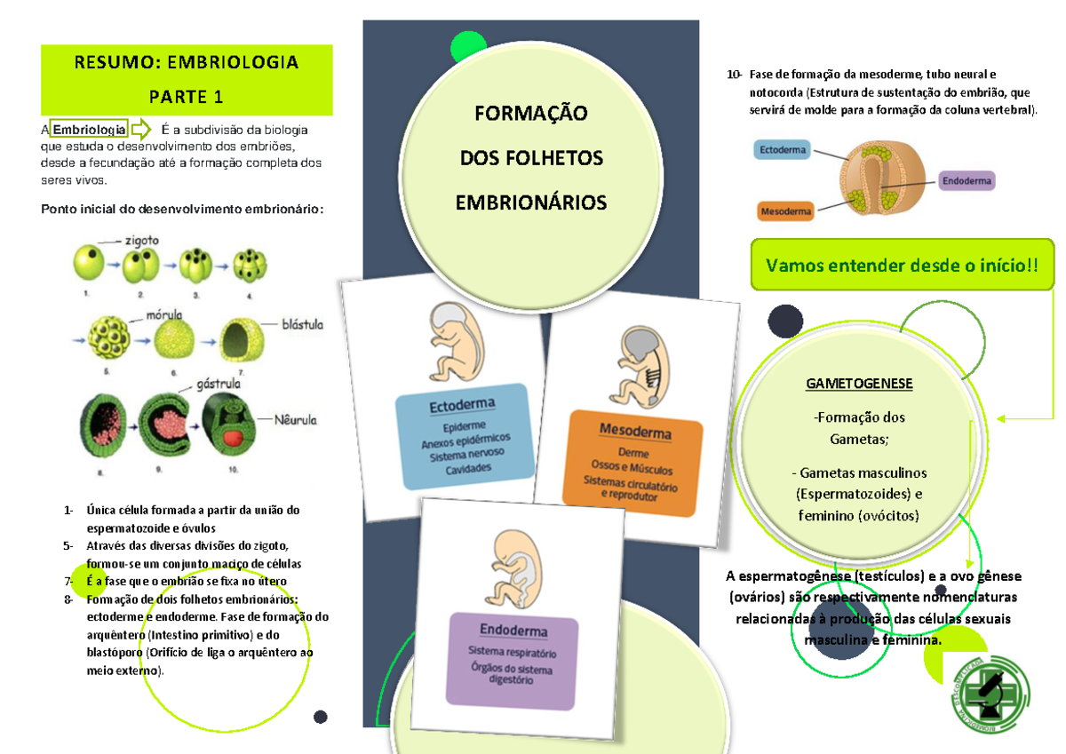 Resumoembriologia 2020 PDF - RESUMO: EMBRIOLOGIA PARTE 1 A Embriologia ...