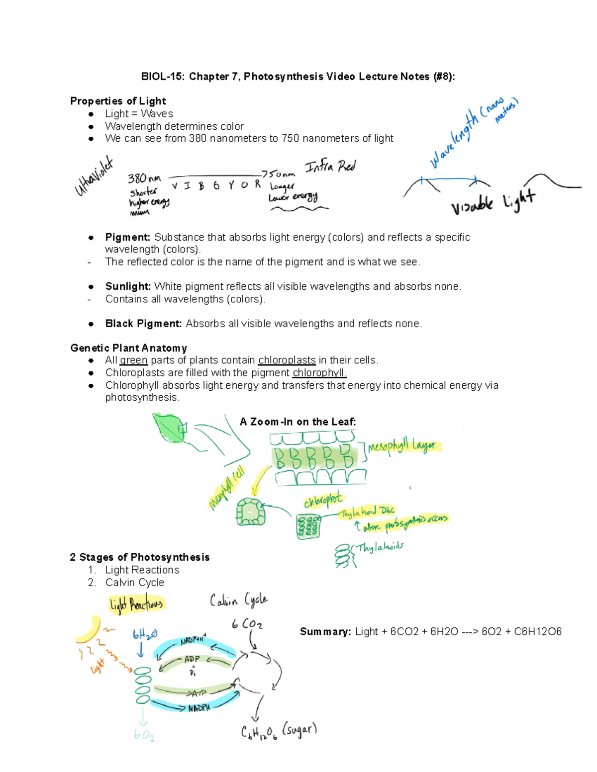 BIOL-15 Chapter 7, Photosynthesis Video Lecture Notes (#8) - BIOL-15 ...