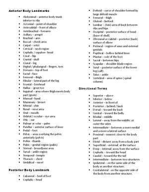 The human body - Landmarks, Cavities and Membranes - Anterior Body ...