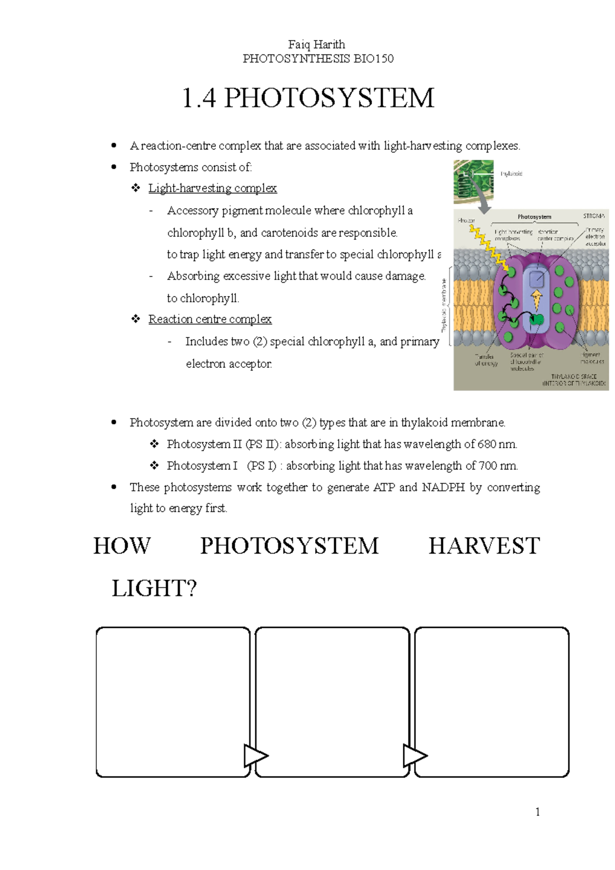 Photosynthesis PART 2 - PHOTOSYNTHESIS BIO 1 PHOTOSYSTEM A reaction ...