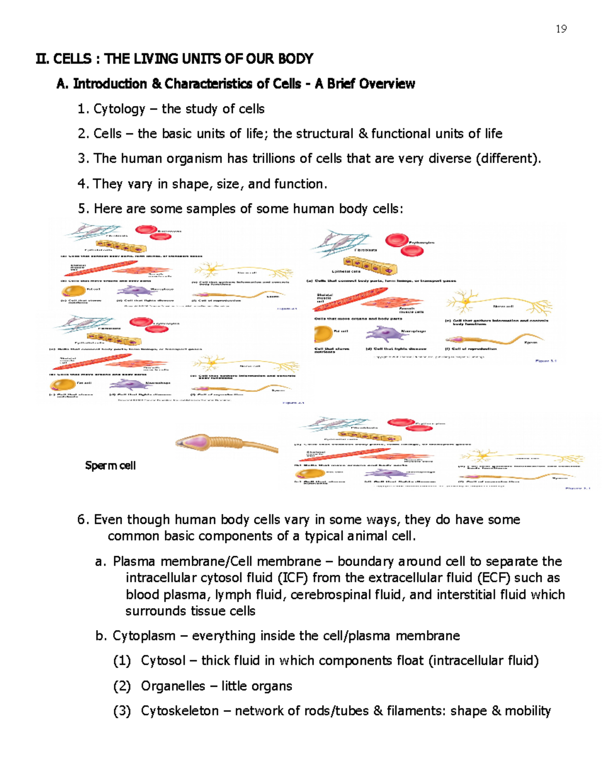 BIO 201 teacher notes 2 pages 19-35 cells with powerpoints - II. CELLS ...