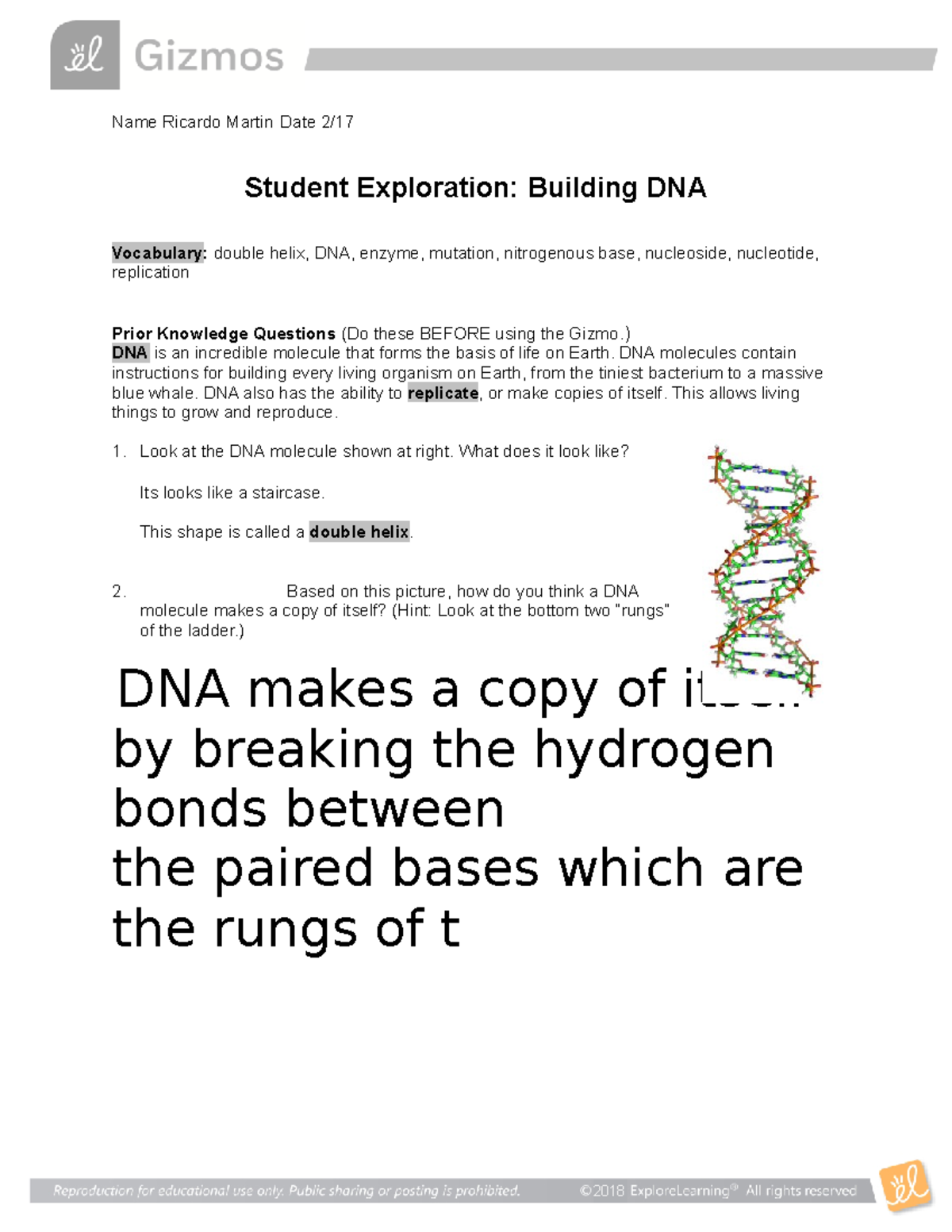 Gizmo 7th Grade Building DNA - Name Ricardo Martin Date 2/ Student ...