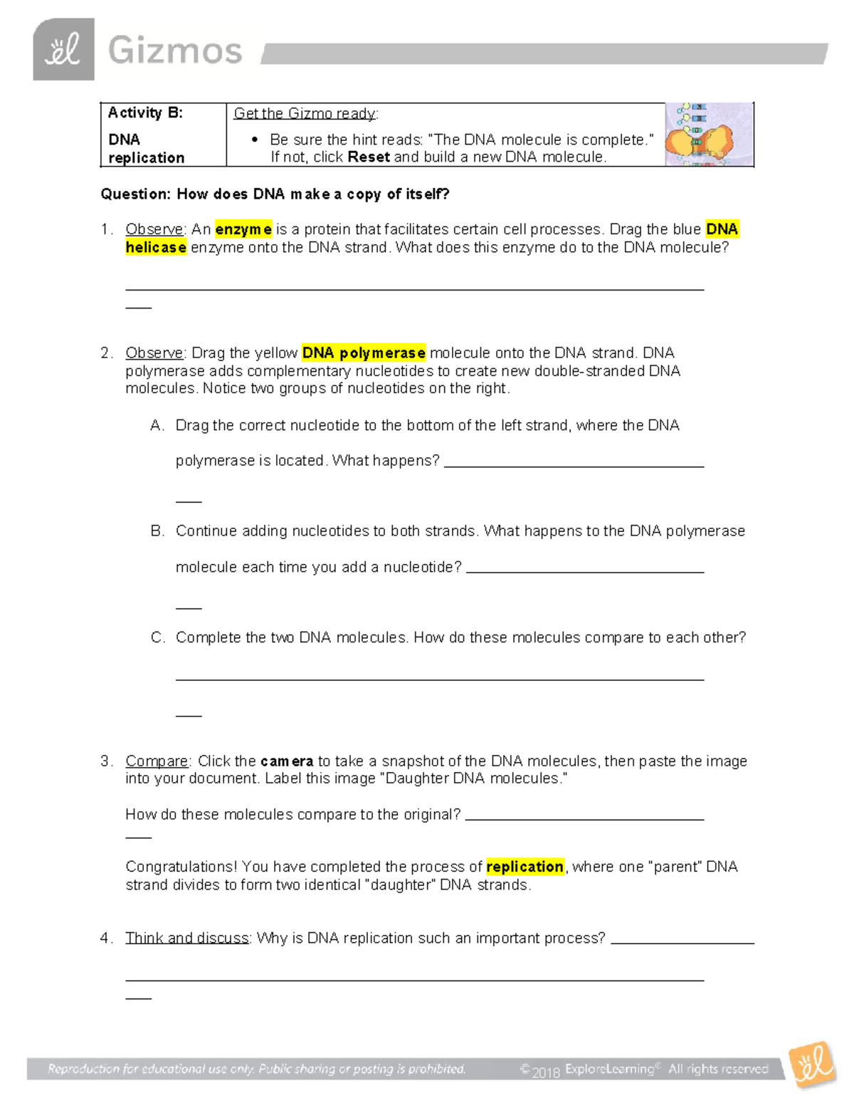 Building DNA+Gizmo+PART+2 - 2018 Activity B: DNA replication Get the ...