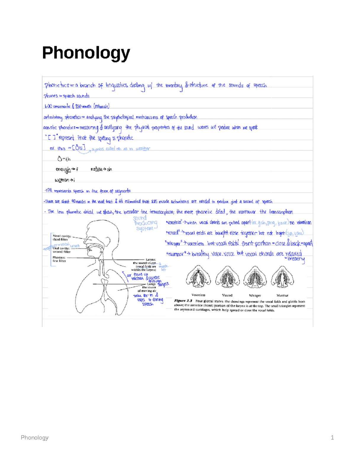 Phonology - lecture notes from introduction to linguistics with John ...