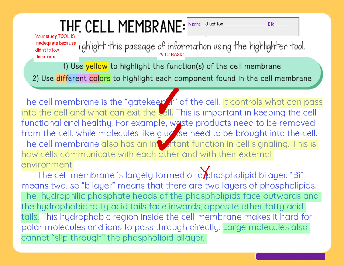 Kami Export - The Cell Membrane 2023 - Close Read - The cell membrane ...
