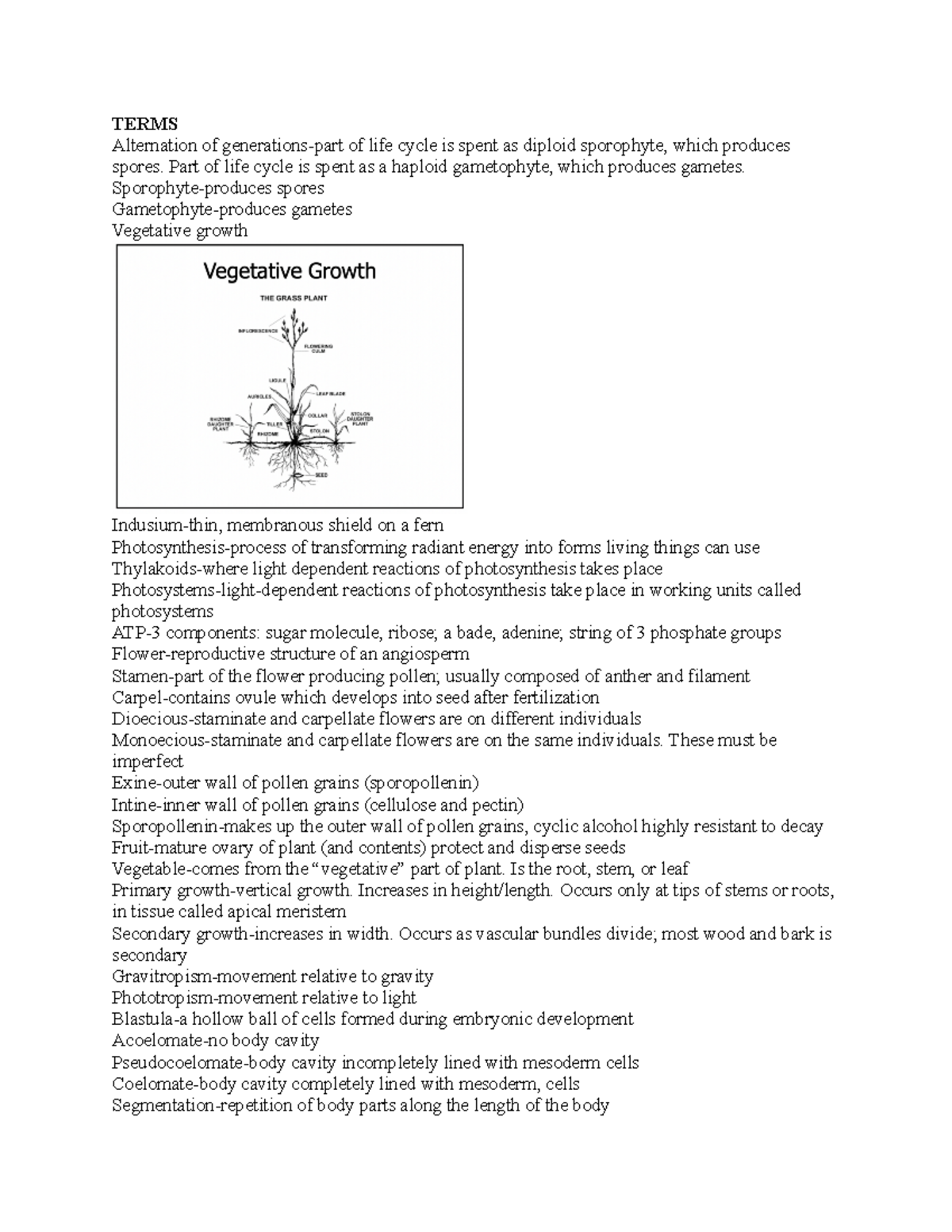 BIOL 1010 Exam 2 Review - Lots of plant things covered here ...