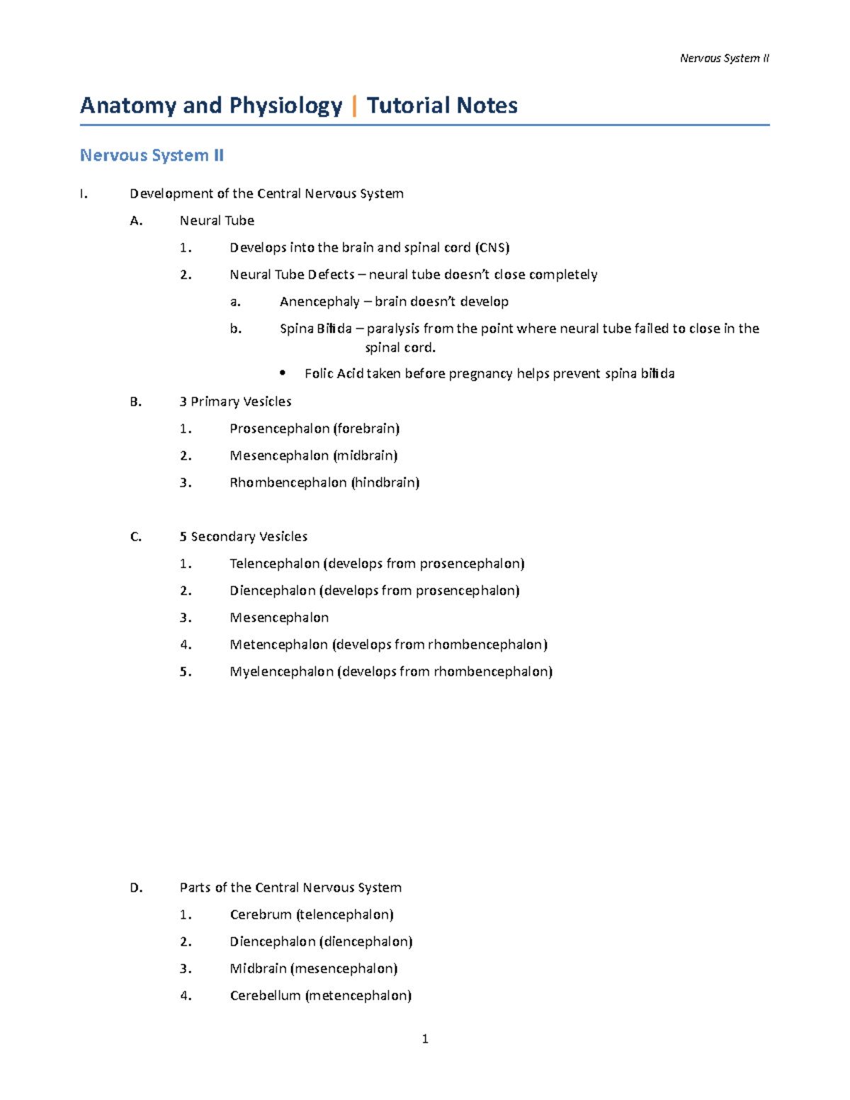 Study guide ch 11 - Anatomy and Physiology | Tutorial Notes Nervous ...
