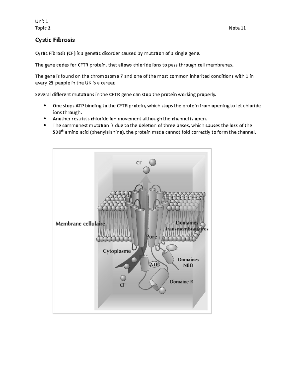 CF note - Alevel biology notes - Unit 1 Topic 2 Note 11 Cystic Fibrosis ...