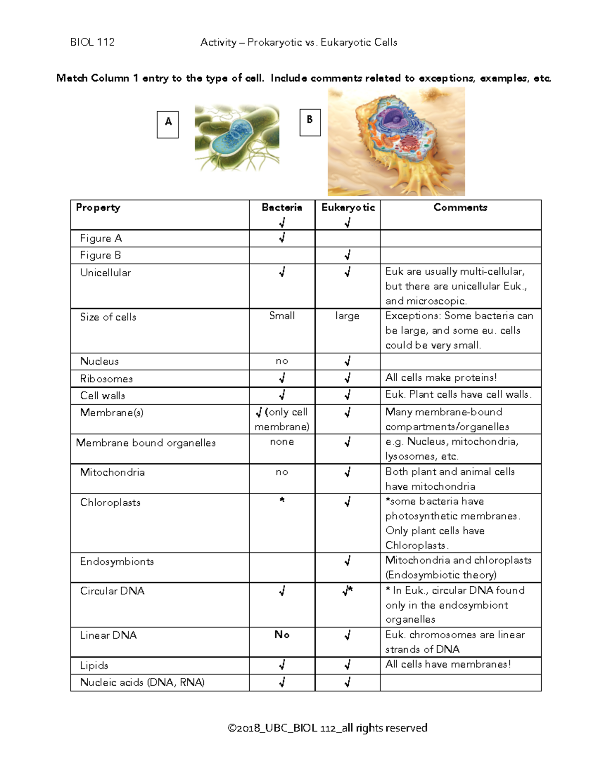 1-Pro Euk Worksheet KEY - BIOL 112 Activity – Prokaryotic vs ...