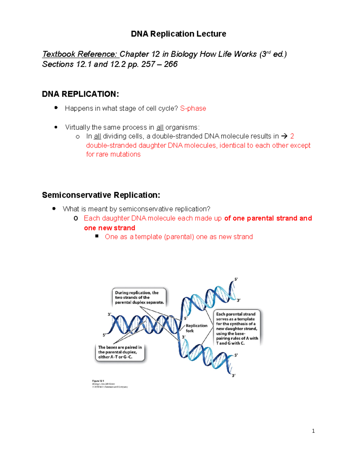 Ch12 Dna Replication Wf Notes 2019 Dna Replication Lecture Textbook Reference Chapter 12 In