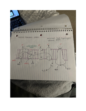 220 Perfusion case studies - The Christ College of Nursing and Health ...