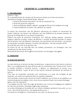 Cours d'introduction à la cartographie - Cartographie – élément d’aide ...