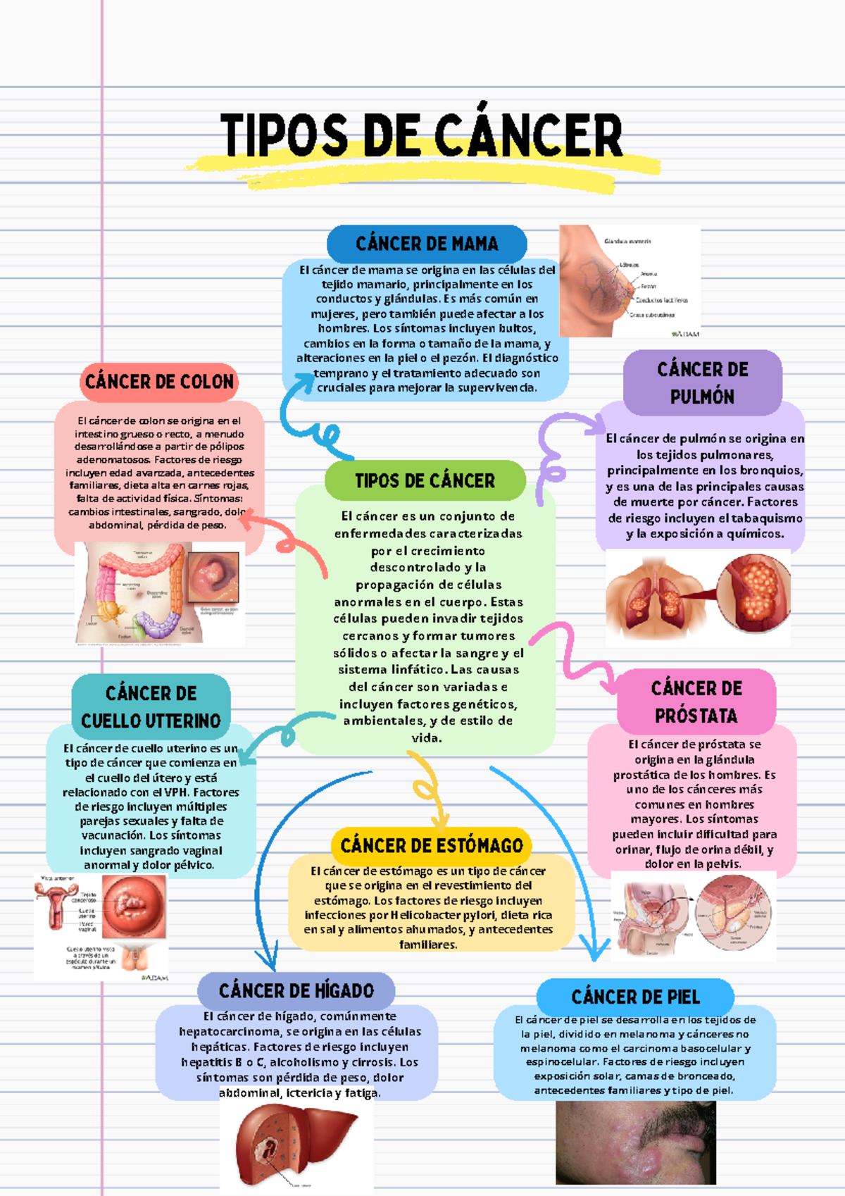 Documento A4 mapa conceptual creativo juvenil colorido - TIPOS DE ...