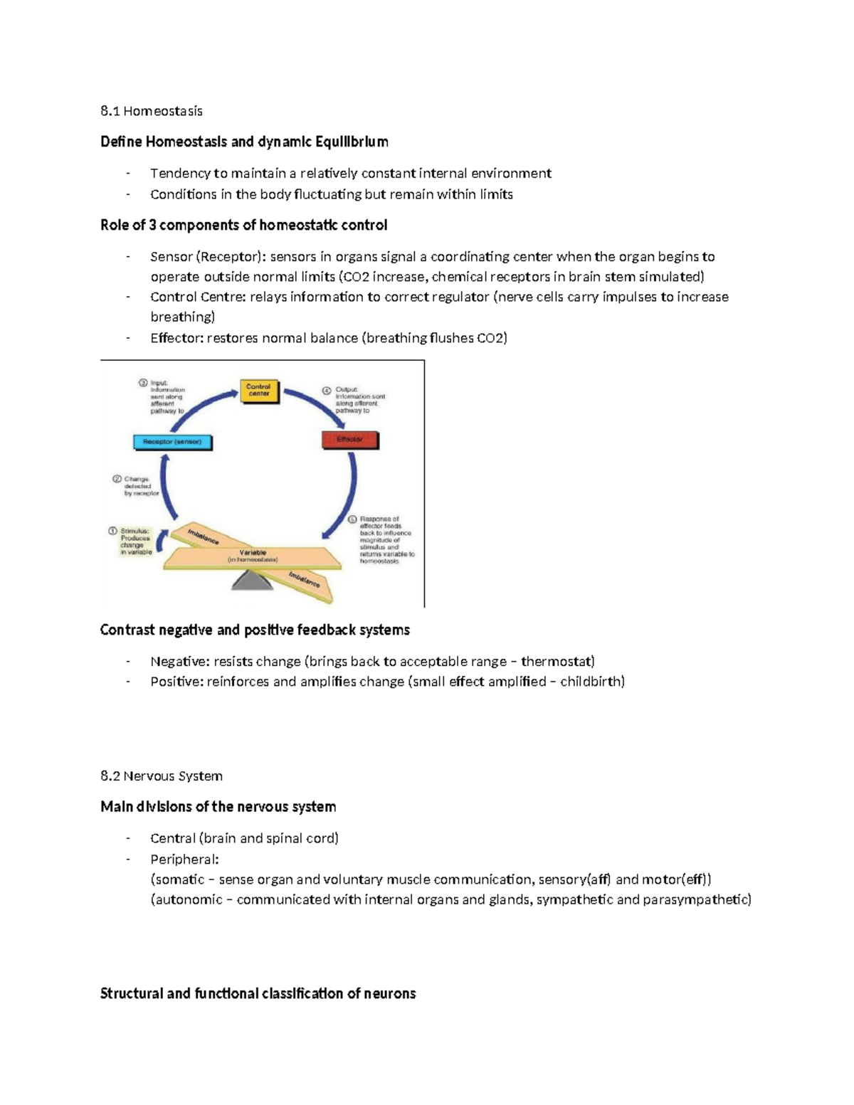 Homeostasis review - 8 Homeostasis Define Homeostasis and dynamic ...