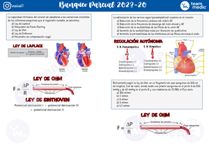 GUÍA DE Práctica DE Fisiología Morfofisiología II - UNIVERSIDAD PRIVADA ANTENOR ORREGO FACULTAD ...