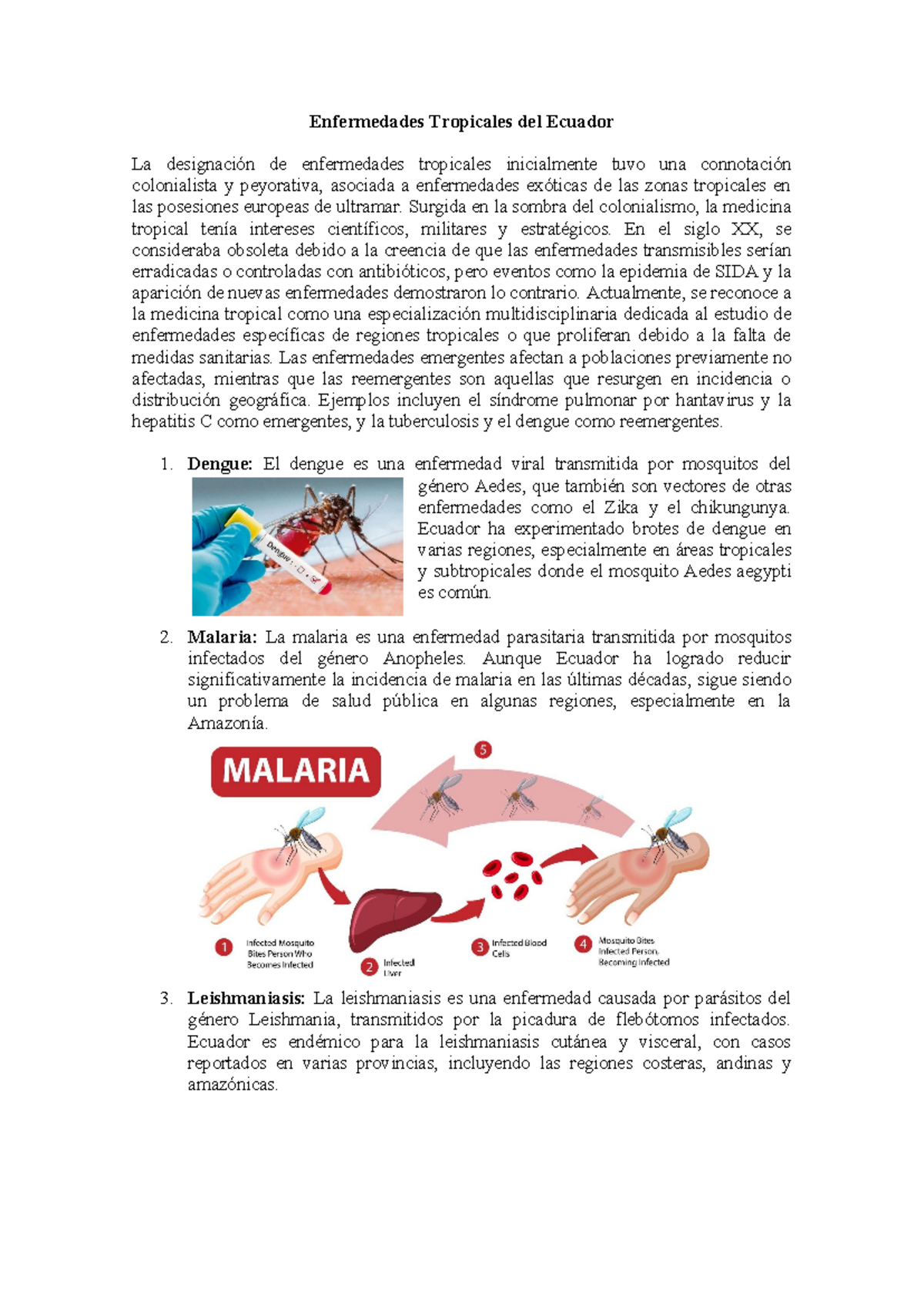 Enfermedades Tropicales del Ecuador - Surgida en la sombra del ...