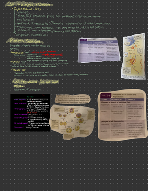 Human Body In Health And Disease System Organ System - Endocrine System ...