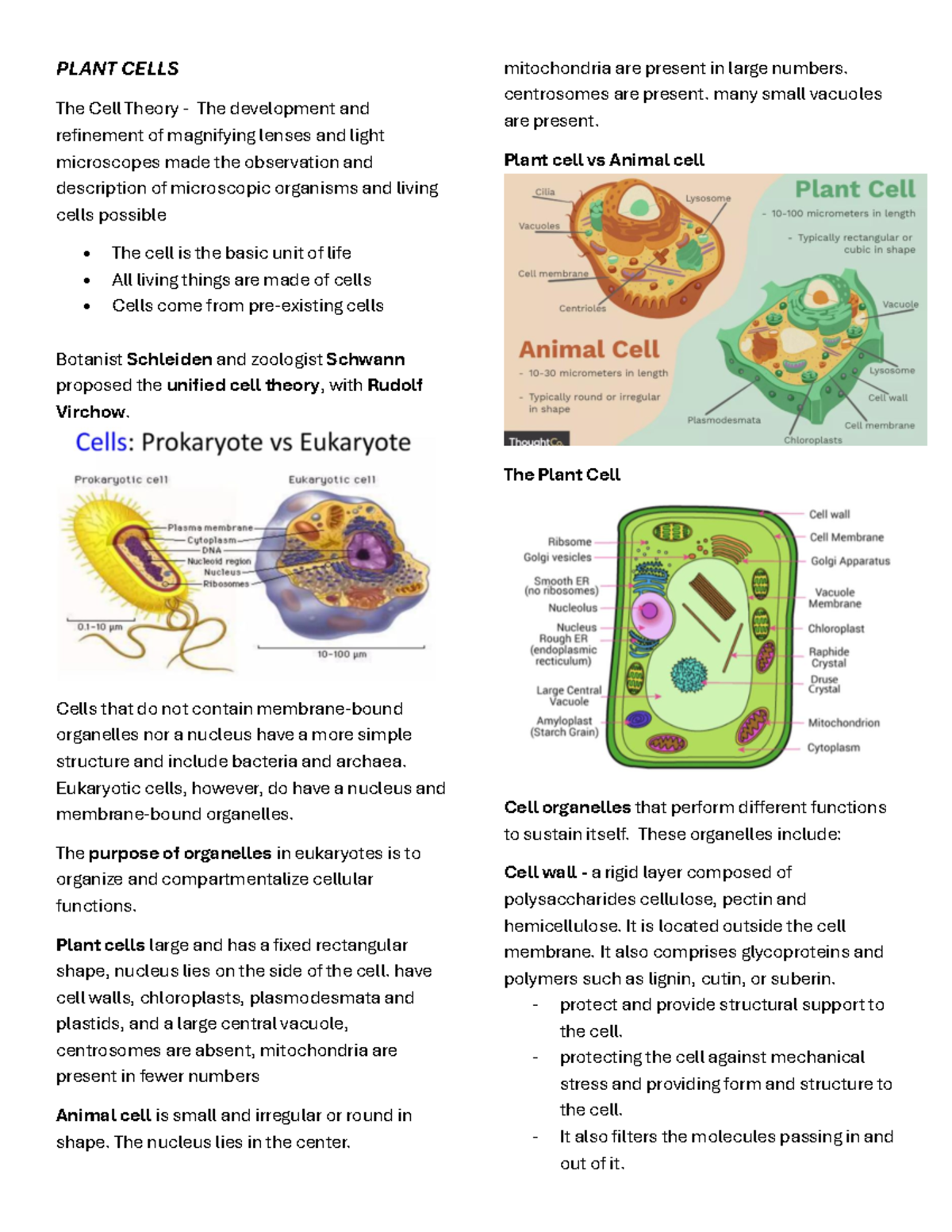 Plant Cells and Tissue - PLANT CELLS The Cell Theory - The development ...