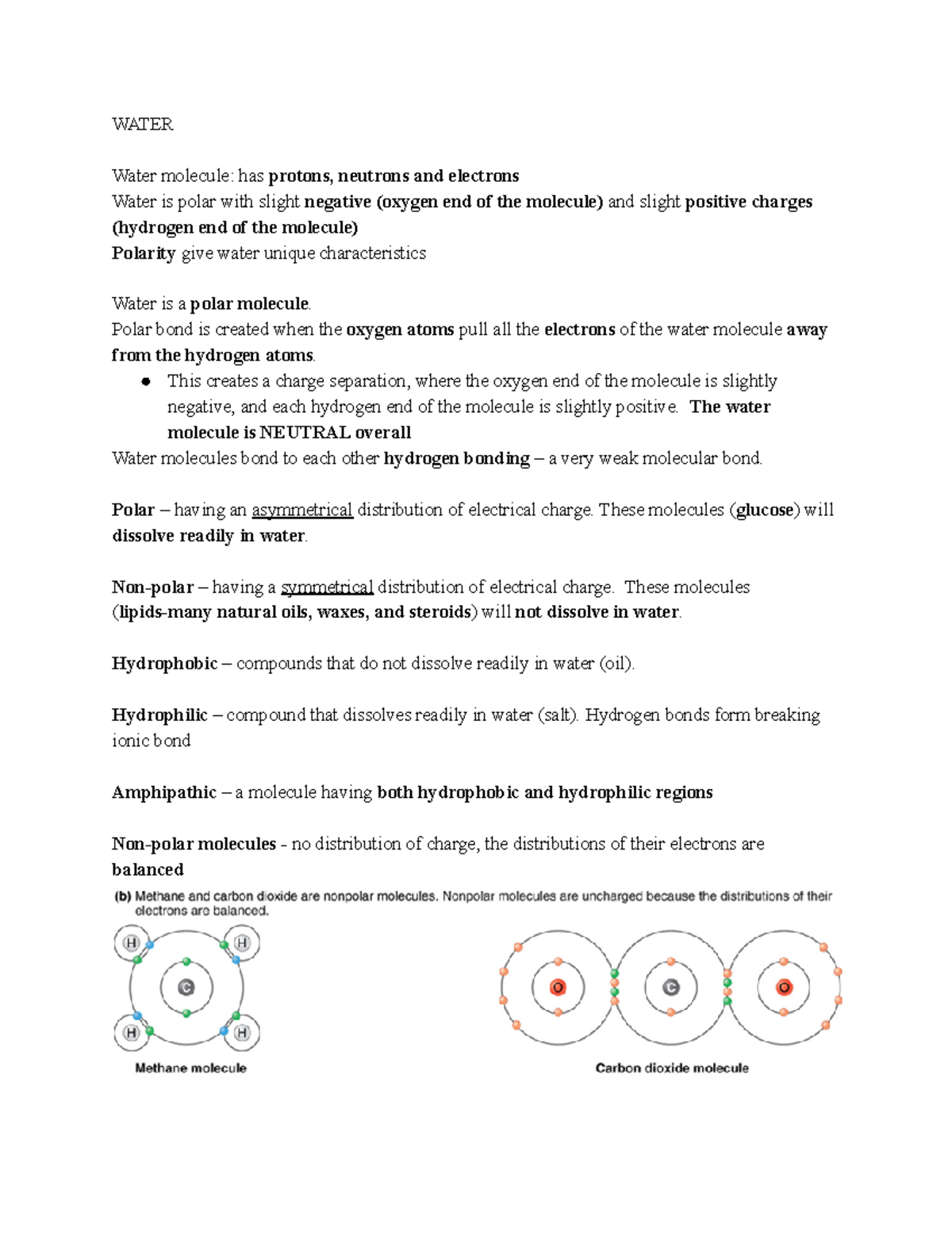Biology 120 - Week 2 - WATER Water molecule: has protons, neutrons and ...