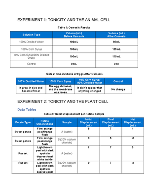 Stacie Stewart Lab 11 part 1 - Table 1: Mitosis Predictions Predictions ...