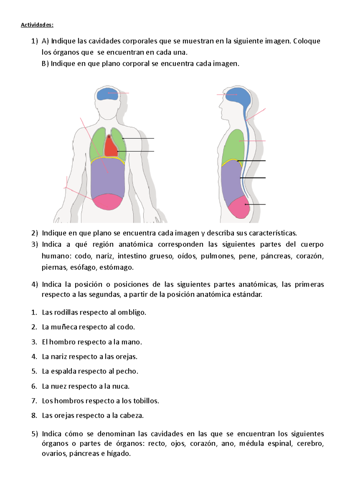 Actividades regiones - ..... - Actividades: A) Indique las cavidades ...